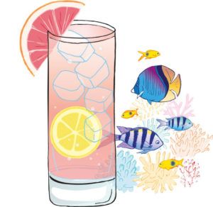 Chilgrove Gin 'Coral Sea Collins' Cocktail | I Love Gin
